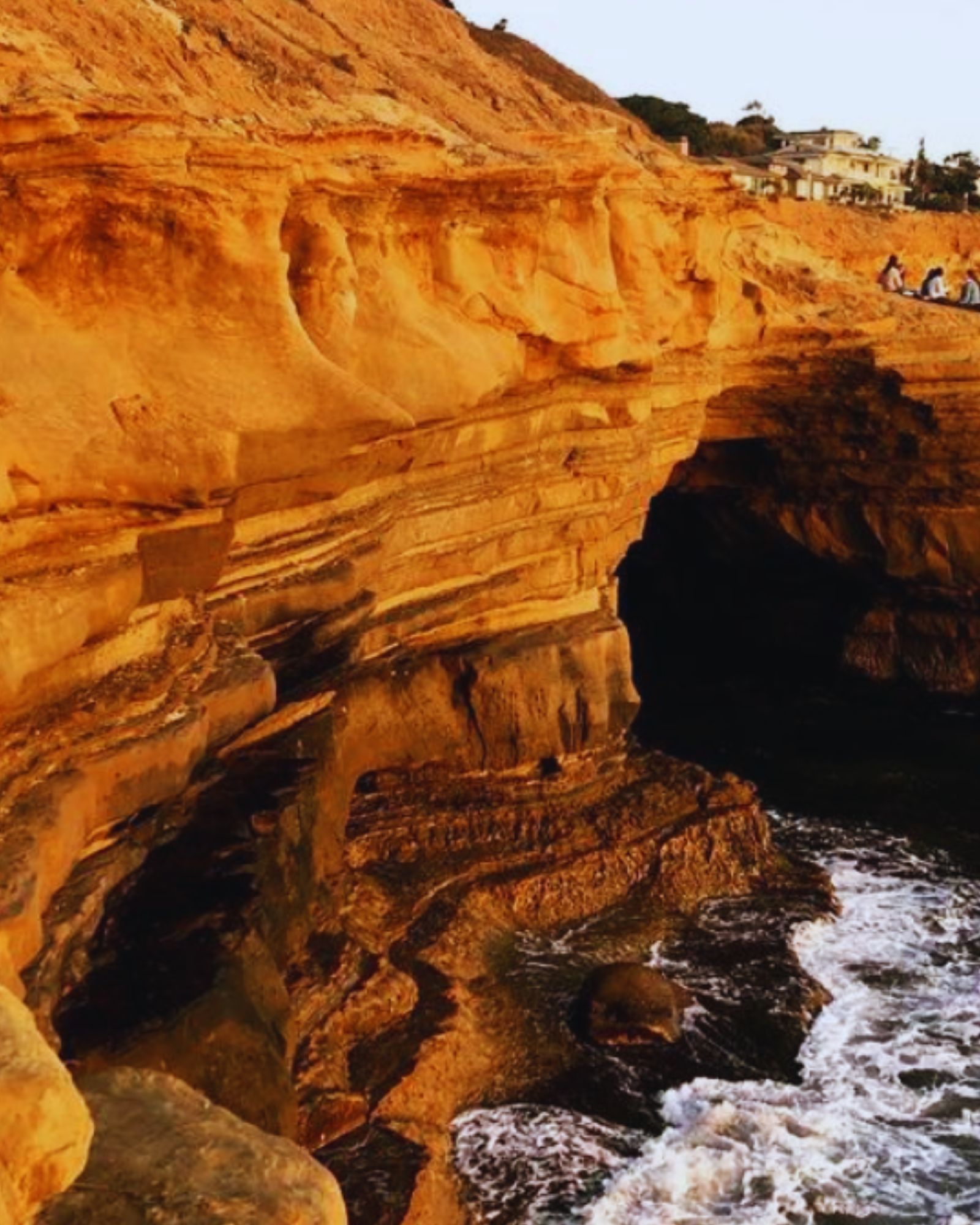 Sunset Cliff Caves In San Diego (Everything To Know) - Plugged In Travel