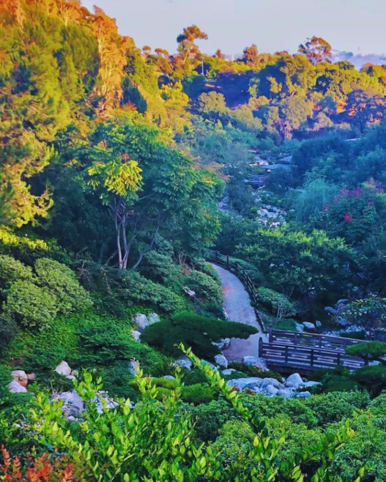 7 Bridges Walk In San Diego (Everything To Know) - Plugged In Travel