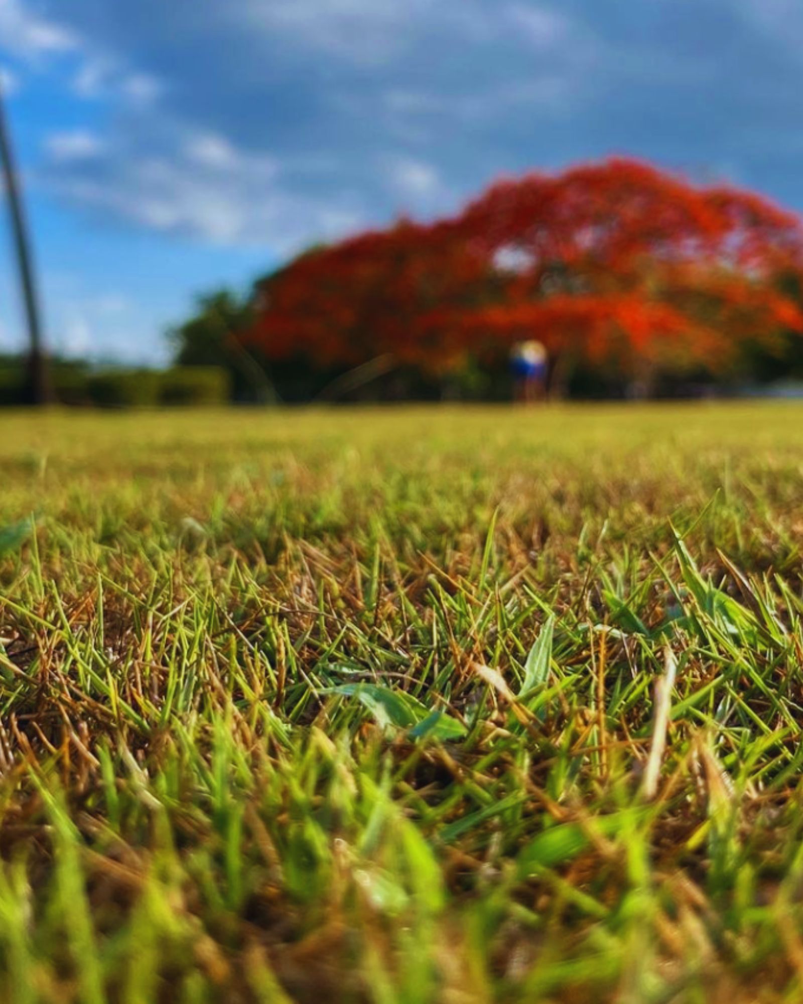 26 Pros And Cons Of Living In Puerto Rico (Expat Advice) - Plugged In Travel