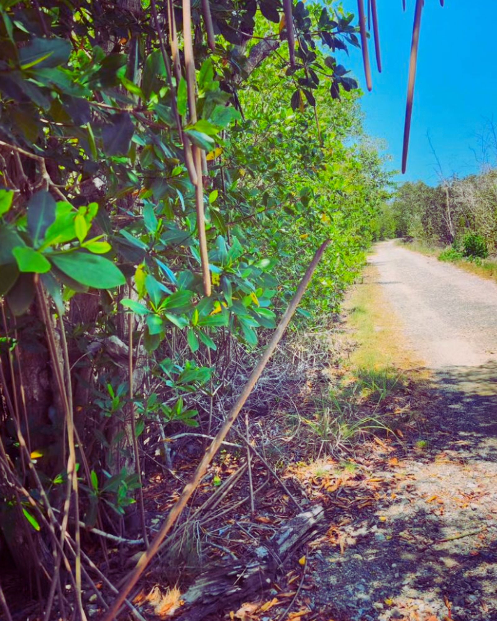 26 Pros And Cons Of Living In Puerto Rico (Expat Advice) - Plugged In Travel