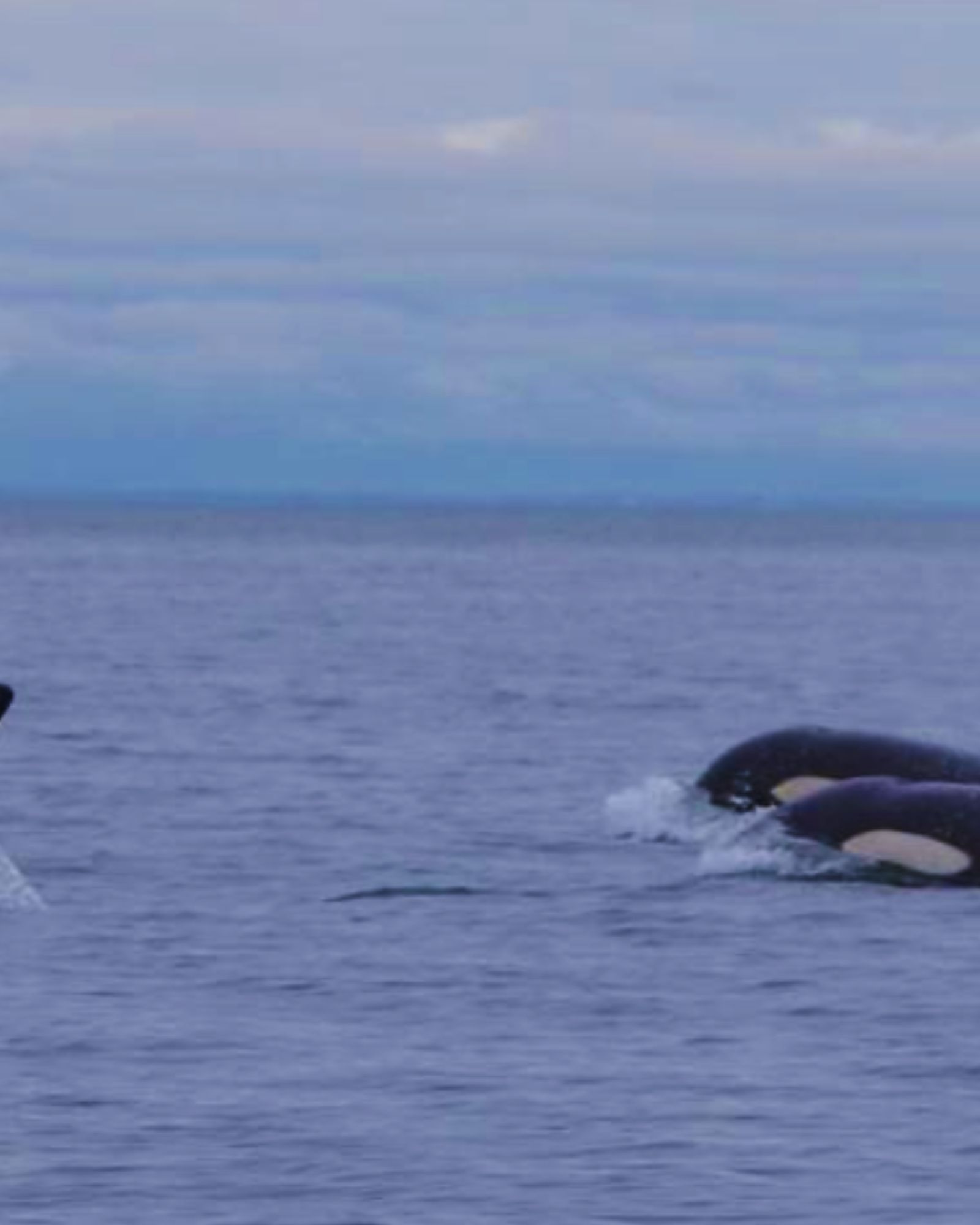 20 Pros And Cons Of Living In Vancouver (Expat Advice) - Plugged In Travel