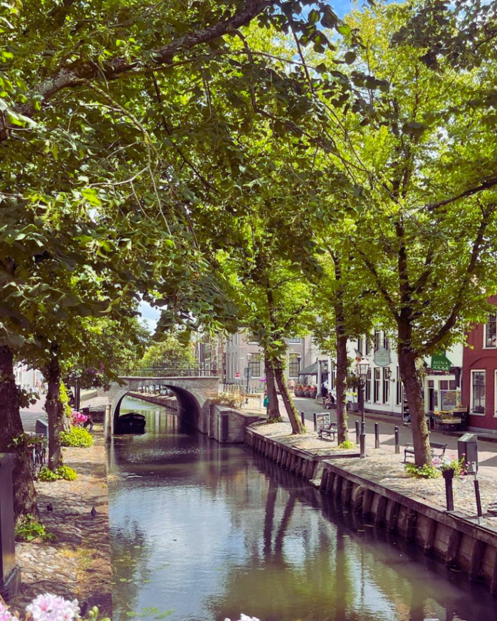 Living In Amsterdam As An American (Expat Advice) - Plugged In Travel