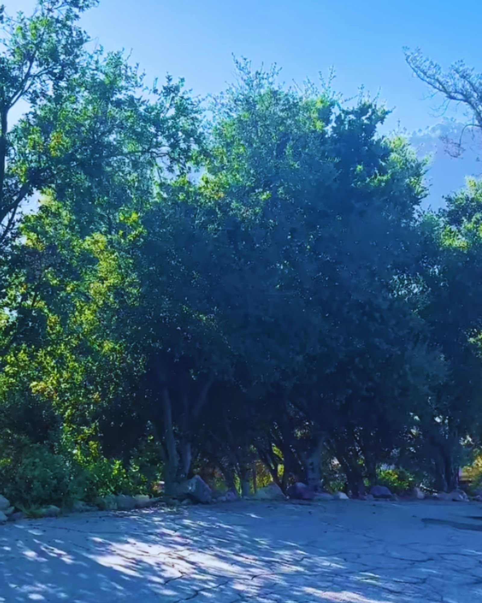 7+ Sound Baths In Los Angeles (Local Approved) - Plugged In Travel