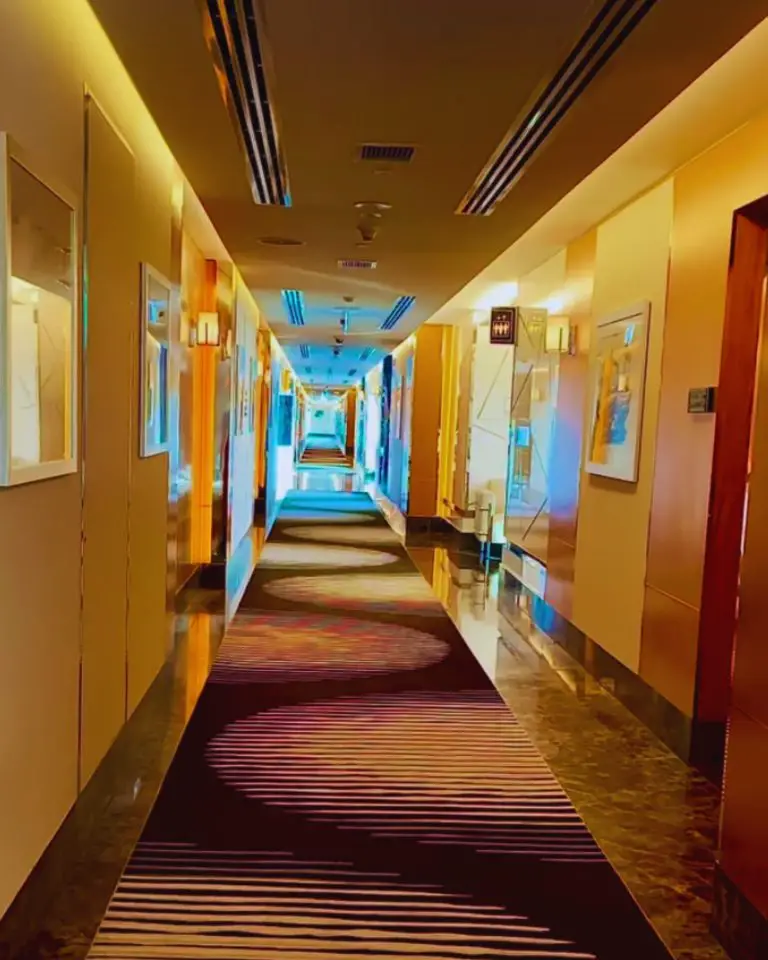 Who Owns The Hilton Hotel Chains? (Explained) - Plugged In Travel