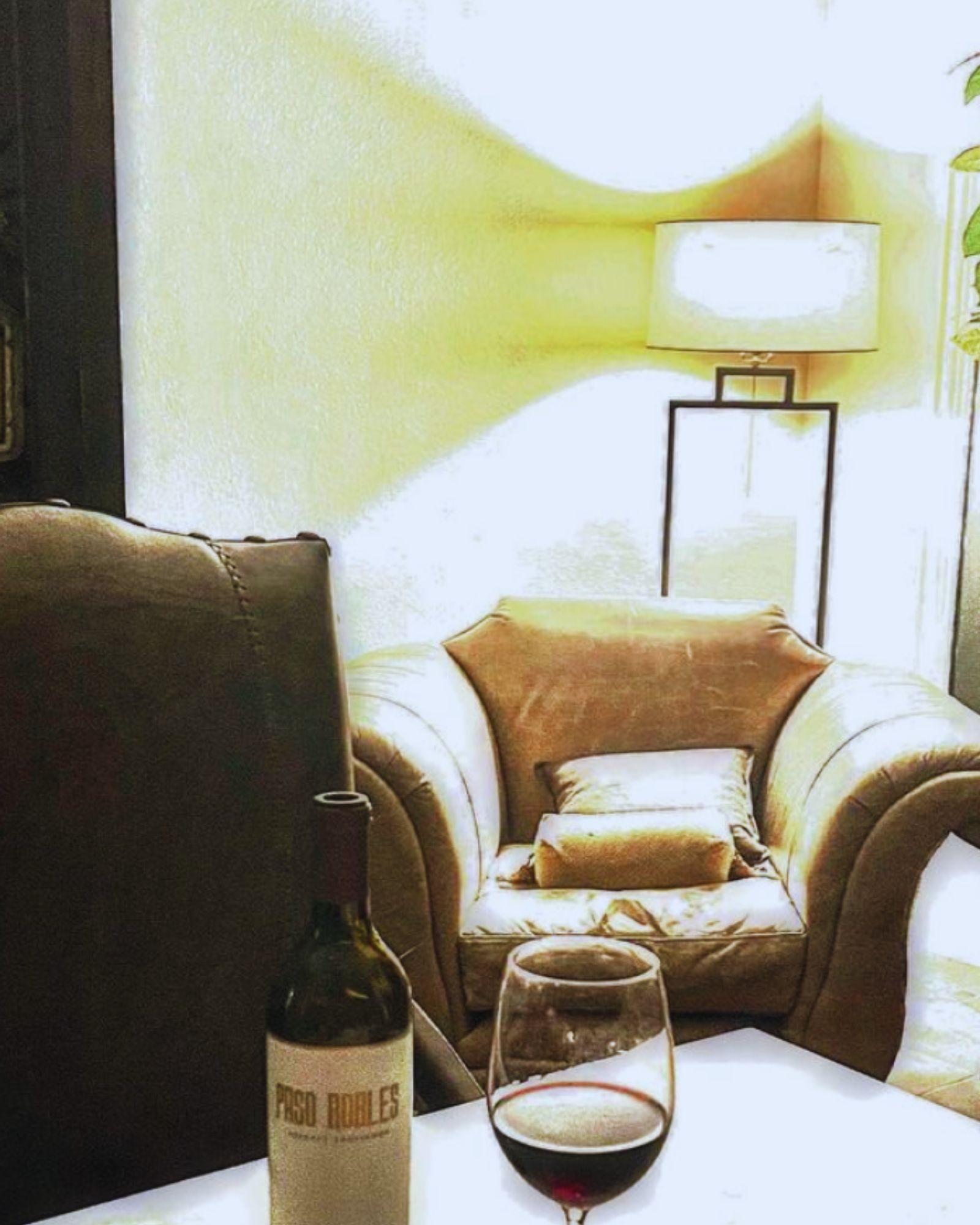 Best California Red Wines (Local Approved) - Plugged In Travel