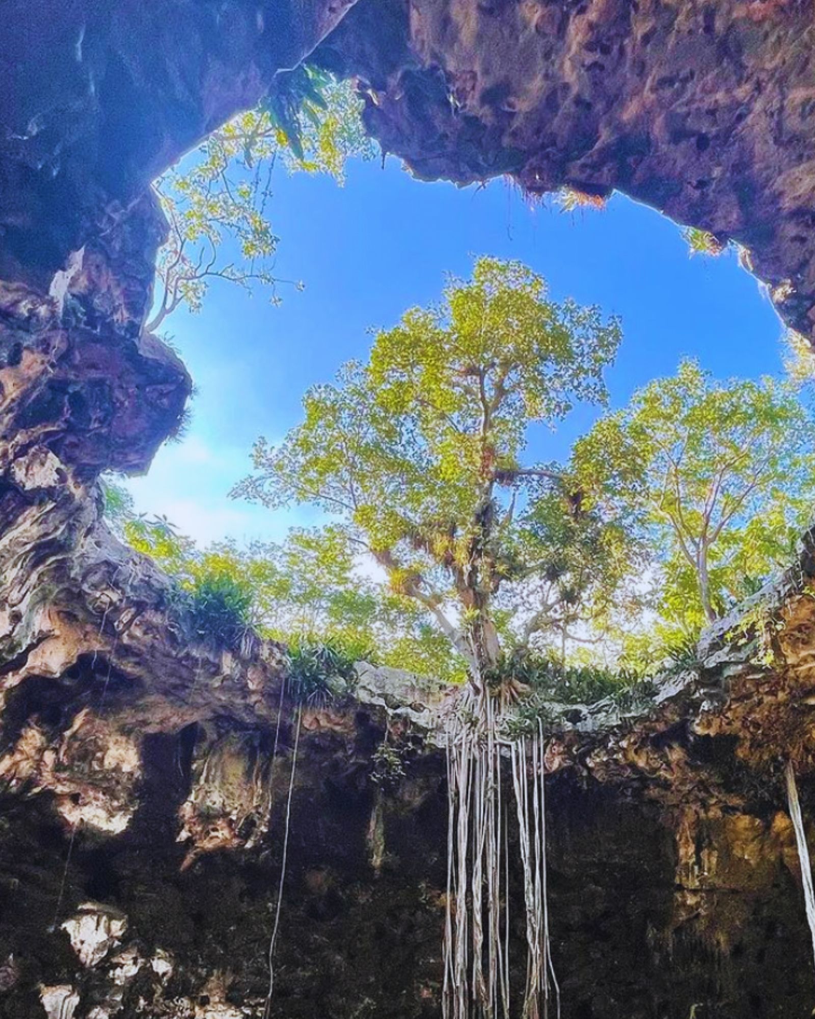 7+ Best Cenote Tours From Cancun (Local Approved) - Plugged In Travel