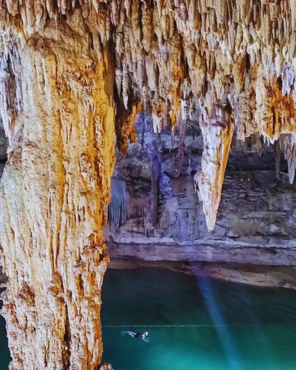 7+ Best Cenote Tours From Cancun (Local Approved) - Plugged In Travel