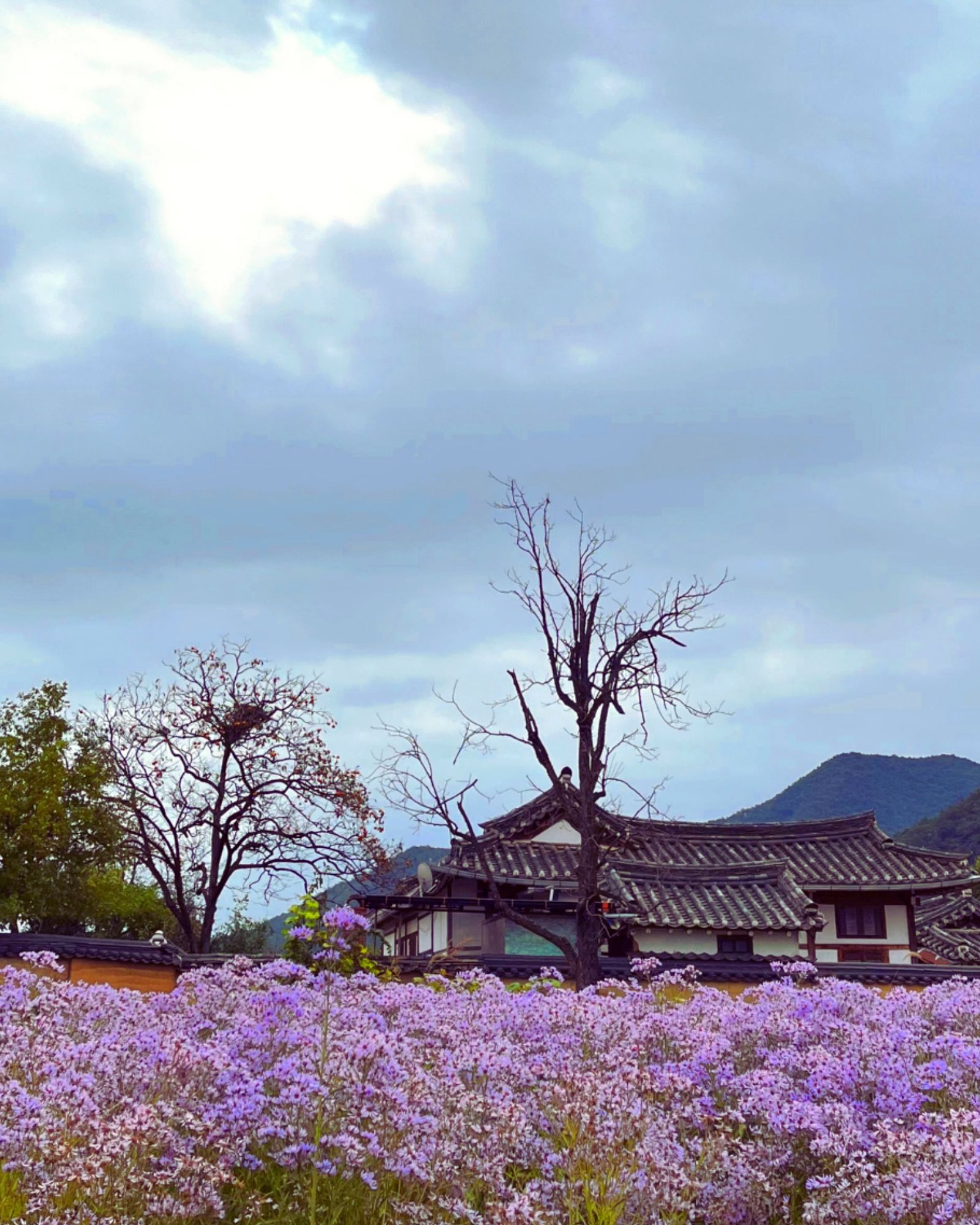 11+ Best Places In South Korea Countryside (Hidden Gems) - Plugged In ...