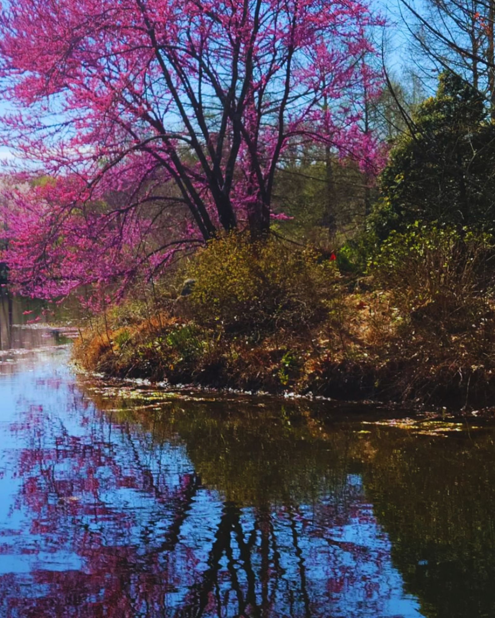 11+ Fun Things to Do In Richmond VA (Local Guide) - Plugged In Travel