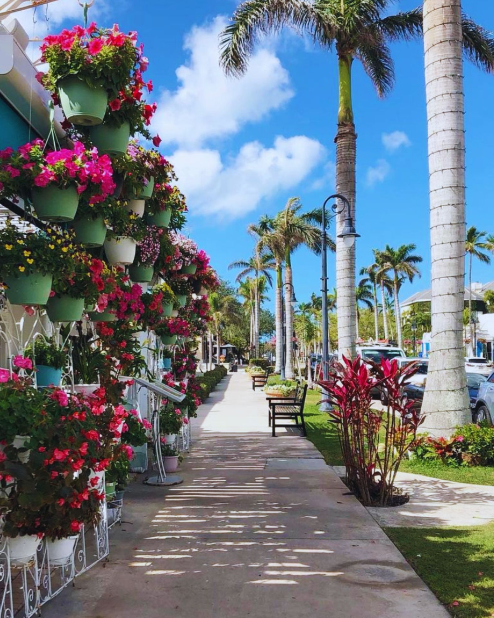 11+ Best Florida Vacation Spots (Local Approved) - Plugged In Travel