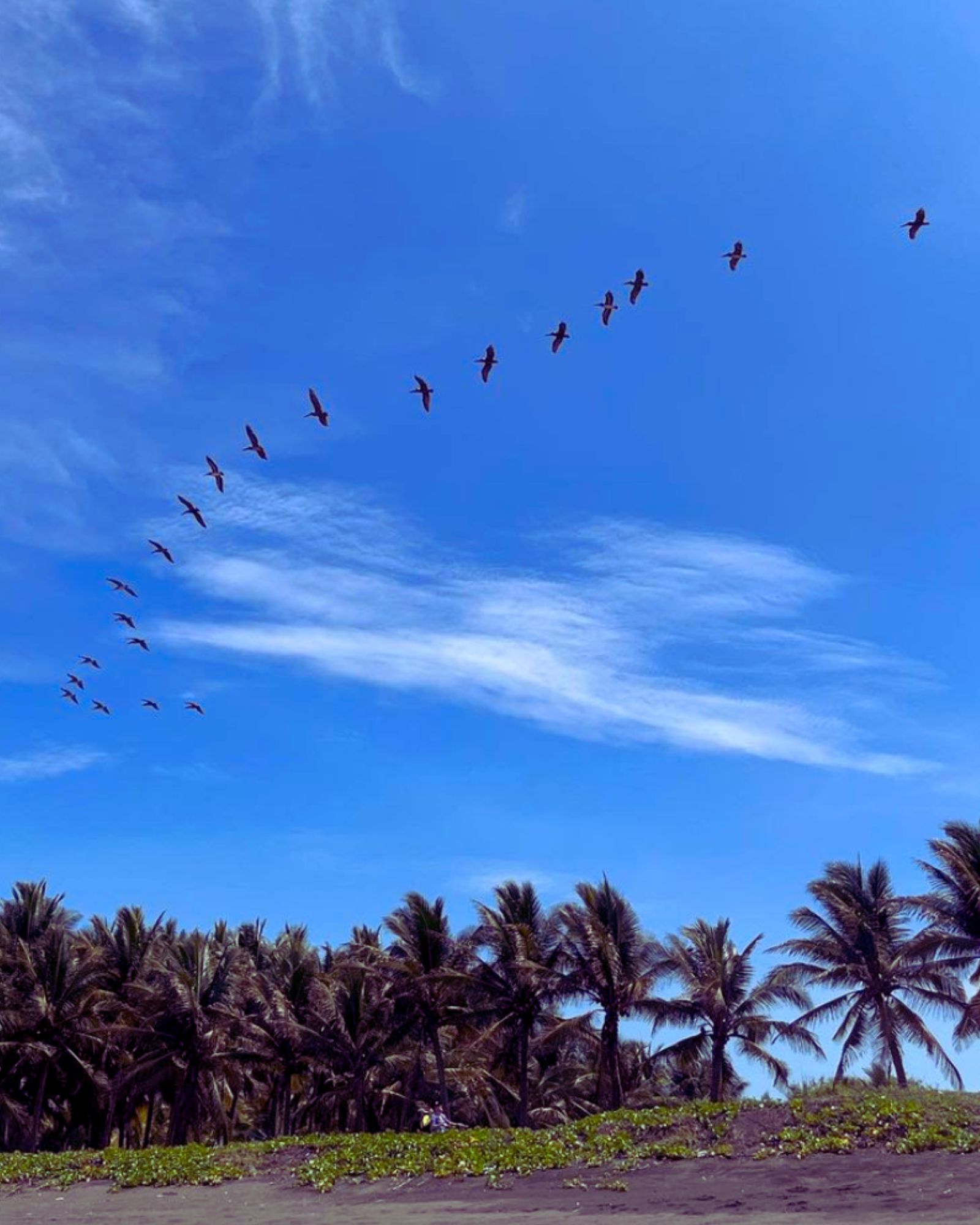 Exploring Monterrico In Guatemala (Local Guide) - Plugged In Travel