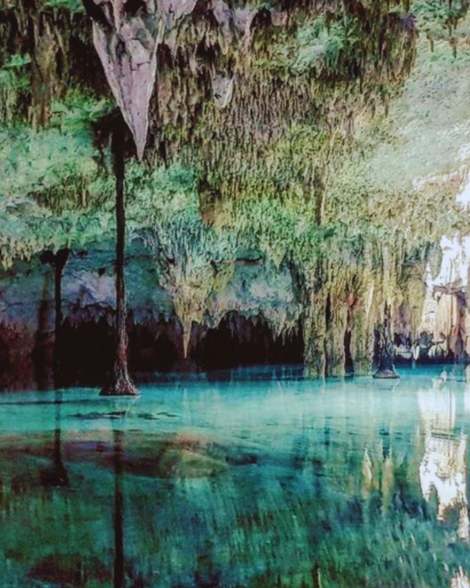 11+ Best Cenotes In Tulum (Local Approved) - Plugged In Travel