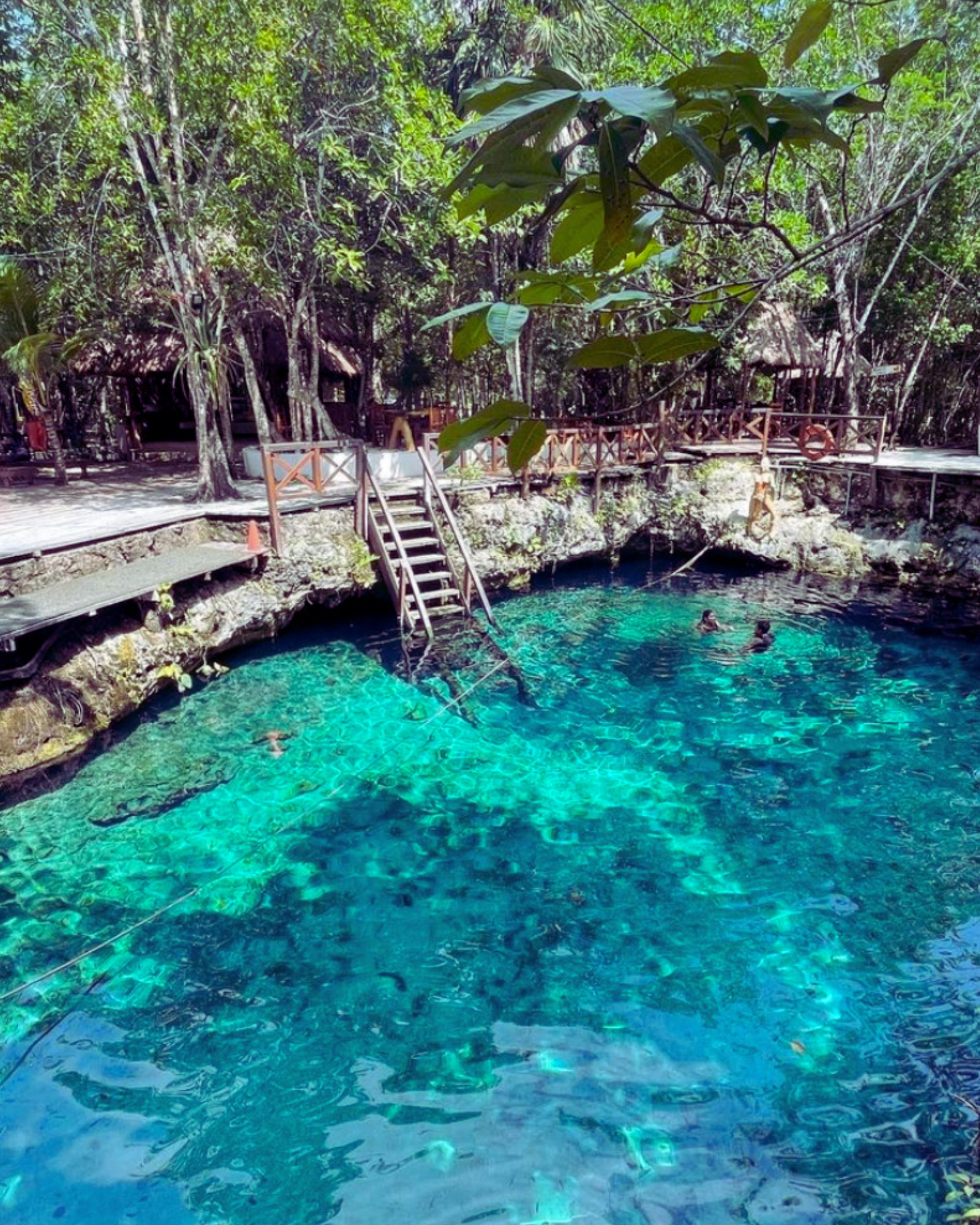 11+ Best Cenotes In Tulum (Local Approved) - Plugged In Travel