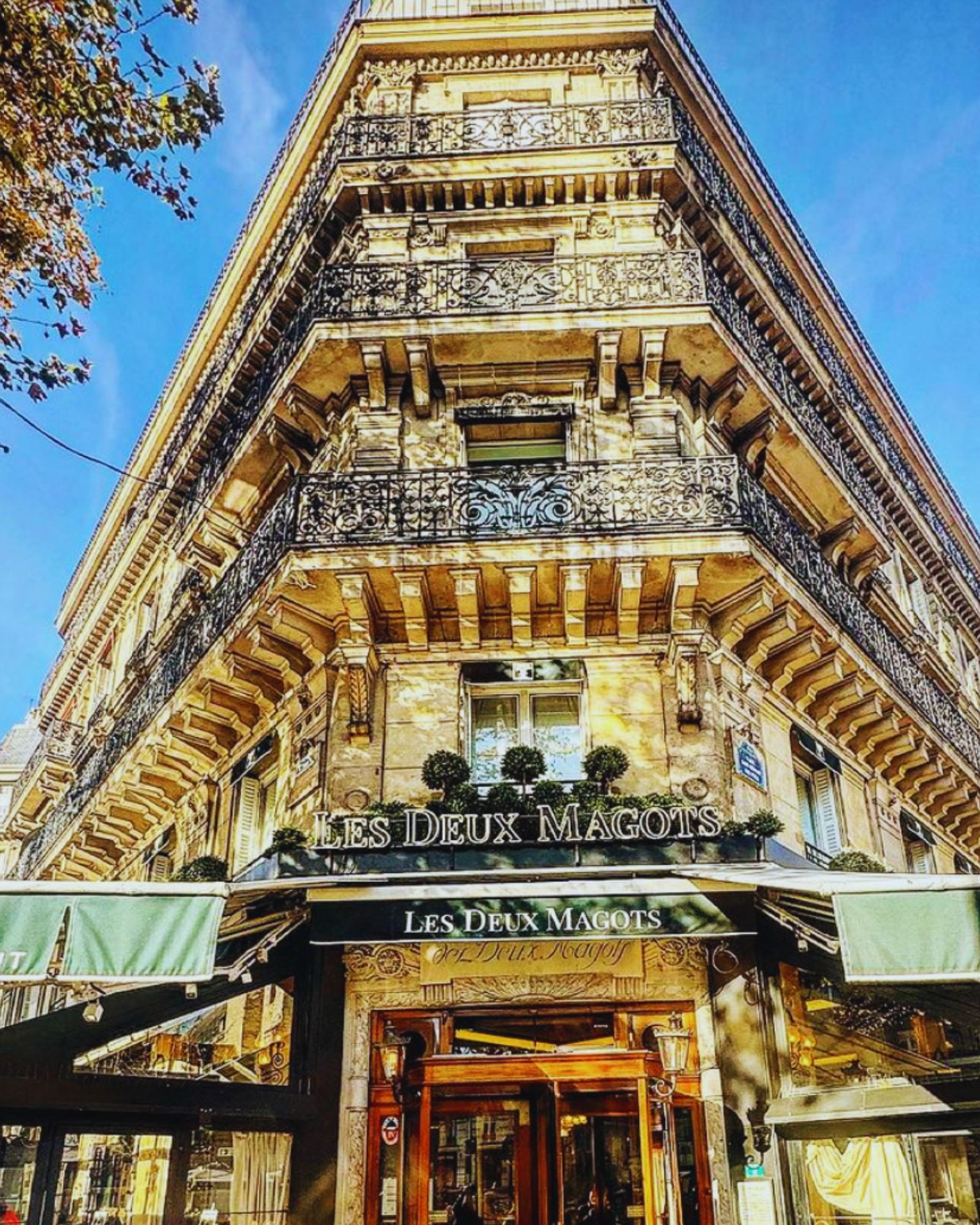 11+ Best Cafes In Paris (Local Approved) - Plugged In Travel