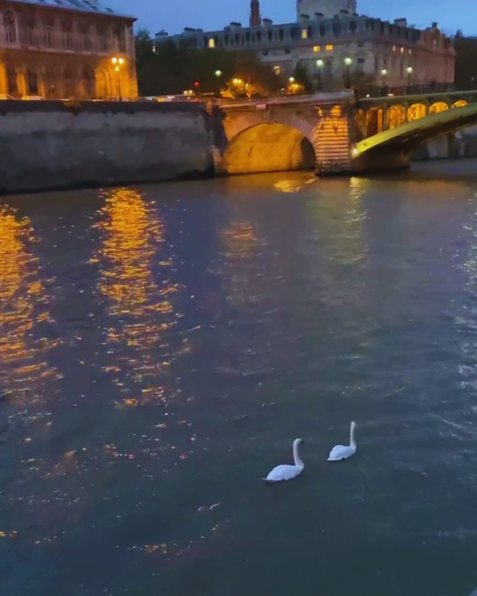 Is Paris a Dirty City? (Expat Advice) - Plugged In Travel