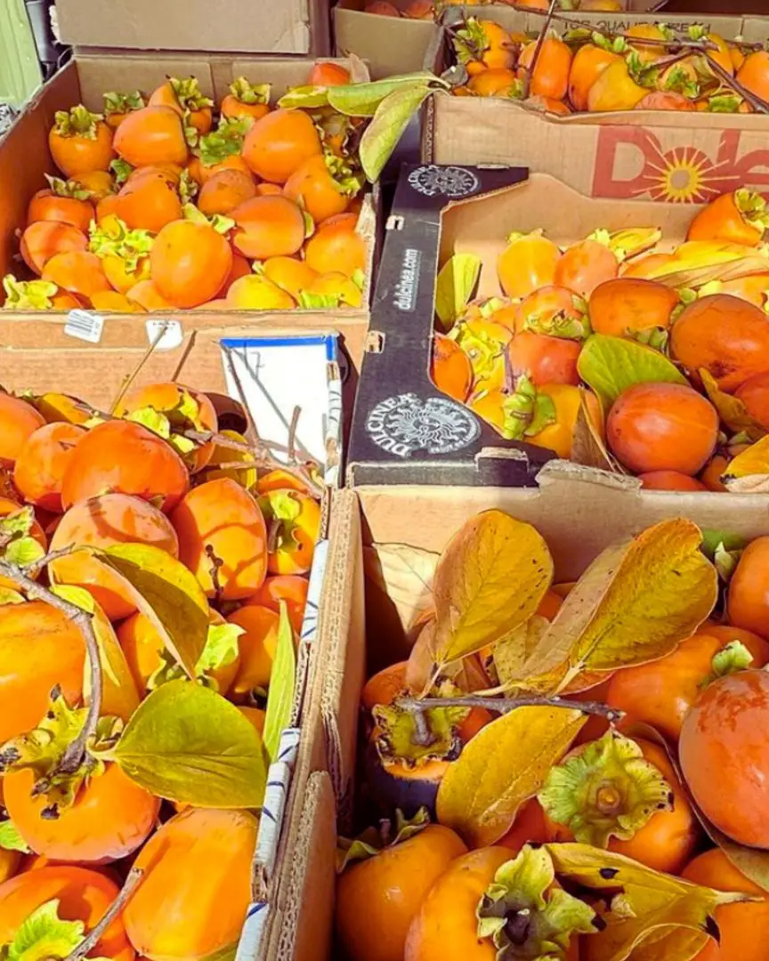 10+ Best Fruits Of Spain (Local Guide) - Plugged In Travel