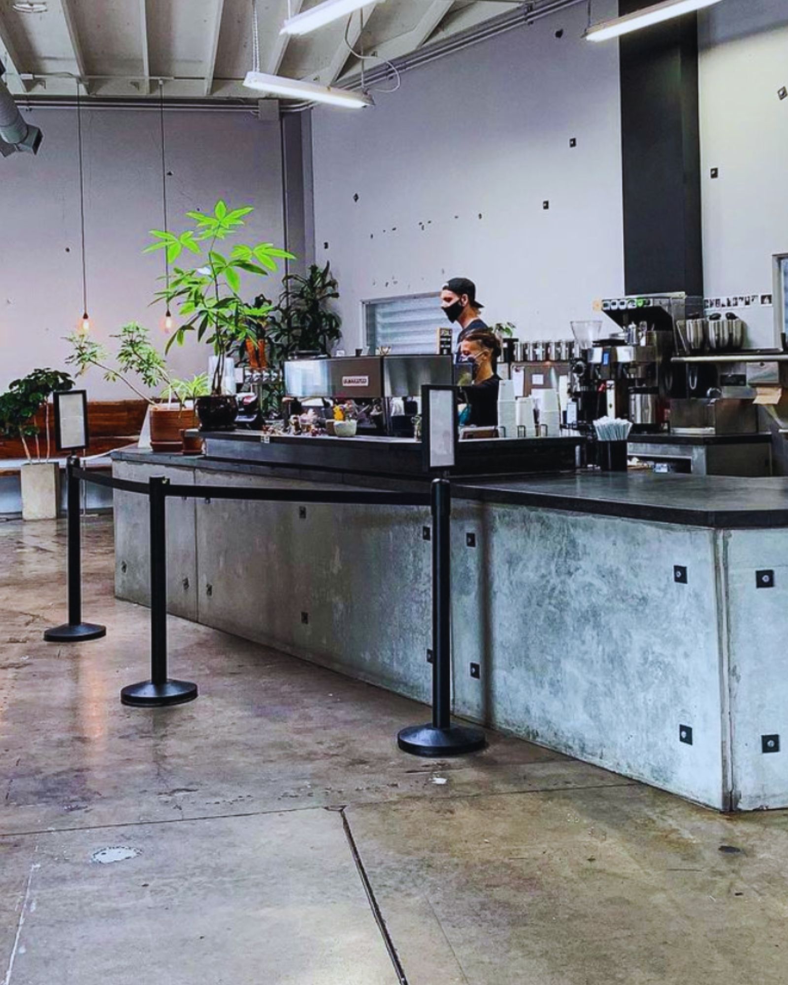 9+ Best Coffee Shops In Sacramento (Local Approved) - Plugged In Travel