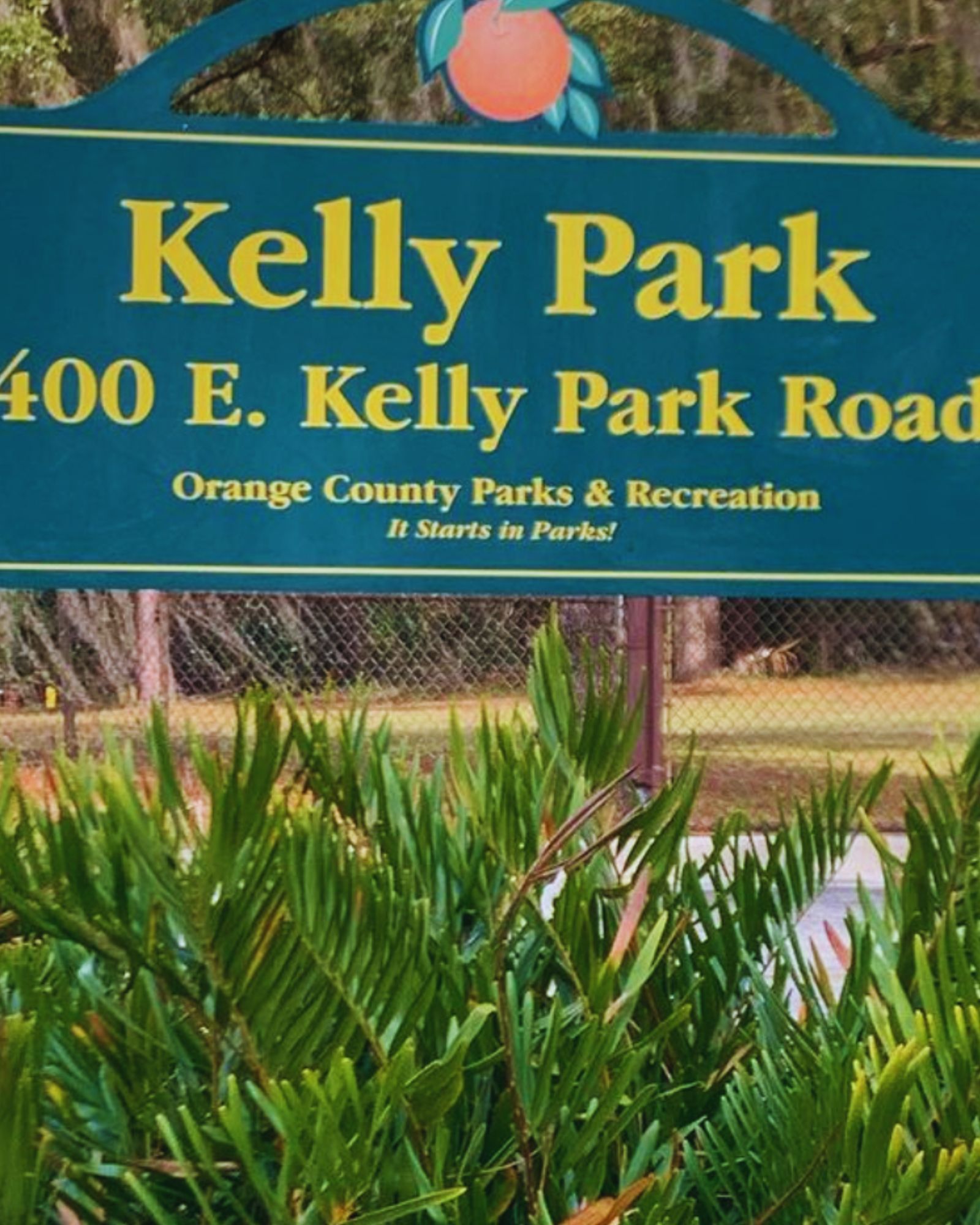 Exploring Kelly Park State Park In Florida (Local Guide) - Plugged In ...